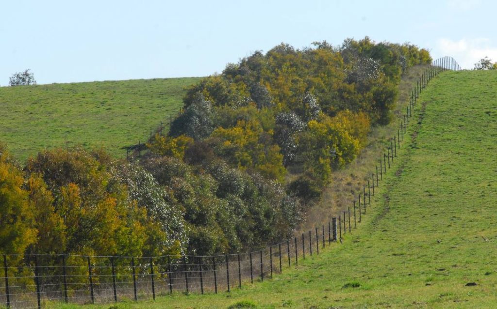 Agriculture and Northern Australian Development - Australia's ...